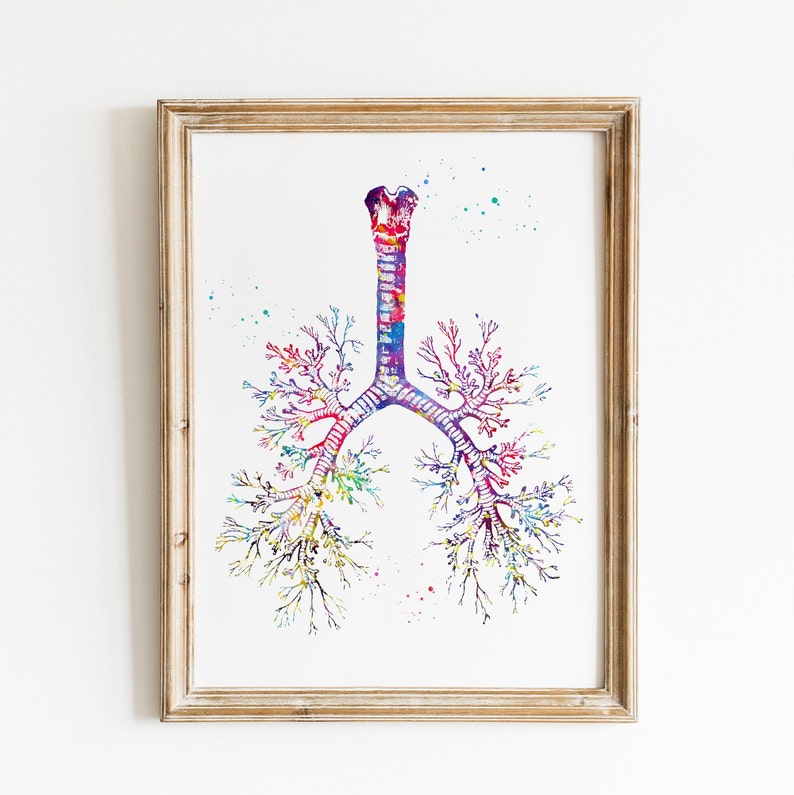 Bronchial Tree Lungs Art Anatomy Alveolar Respiratory System - Etsy