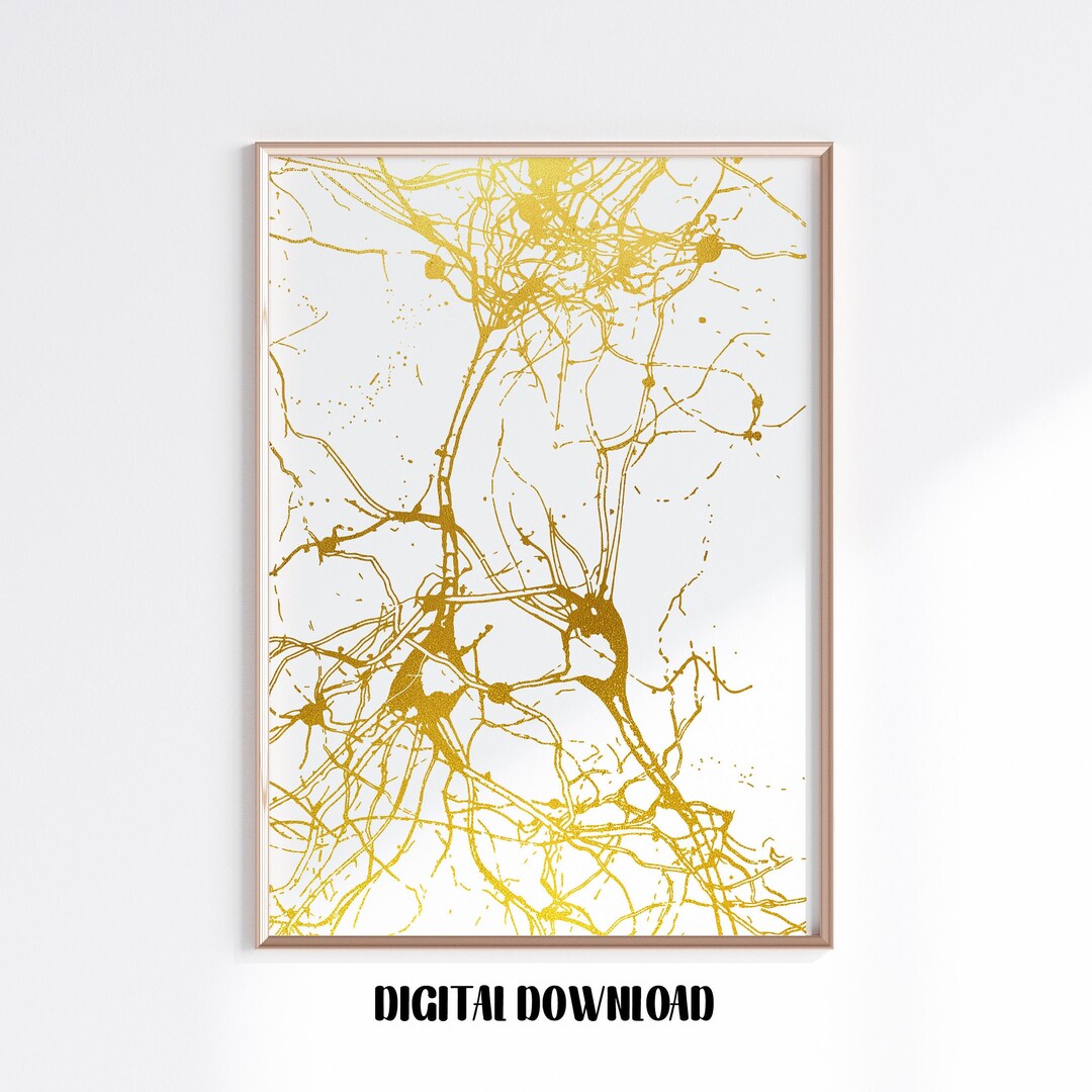 Human Cells Anatomy and Cell Biology Neurology Poster Nerve - Etsy