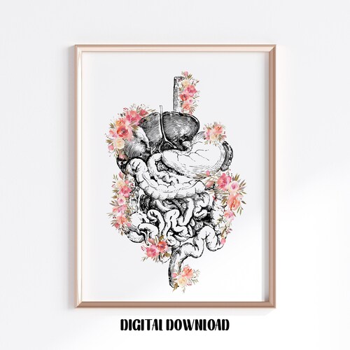 Esophagus and Stomach Anatomy Art Watercolor Print Oesophagus | Etsy