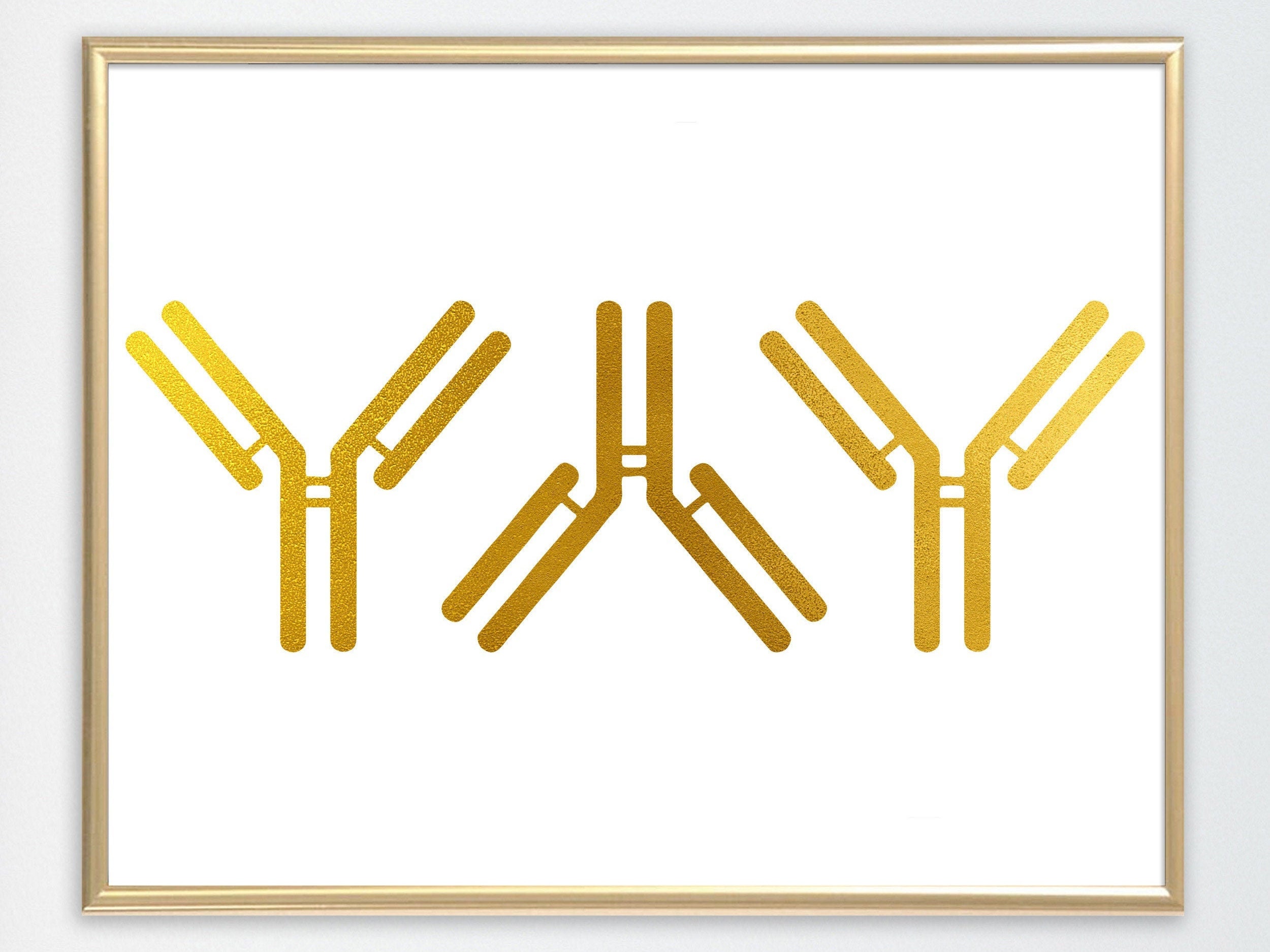 Antibody Antibodies Medical Art immunology Science Medicine | Etsy