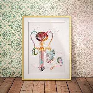 Human Male Reproductive System Anatomy Poster Medical Science - Etsy