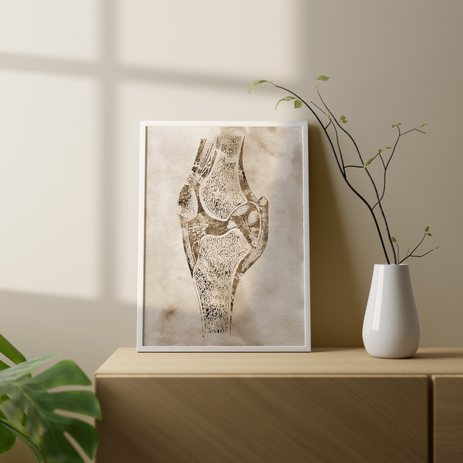 Knee Bone Human Anatomy Orthopedic Skeletal System Leg Bones - Etsy