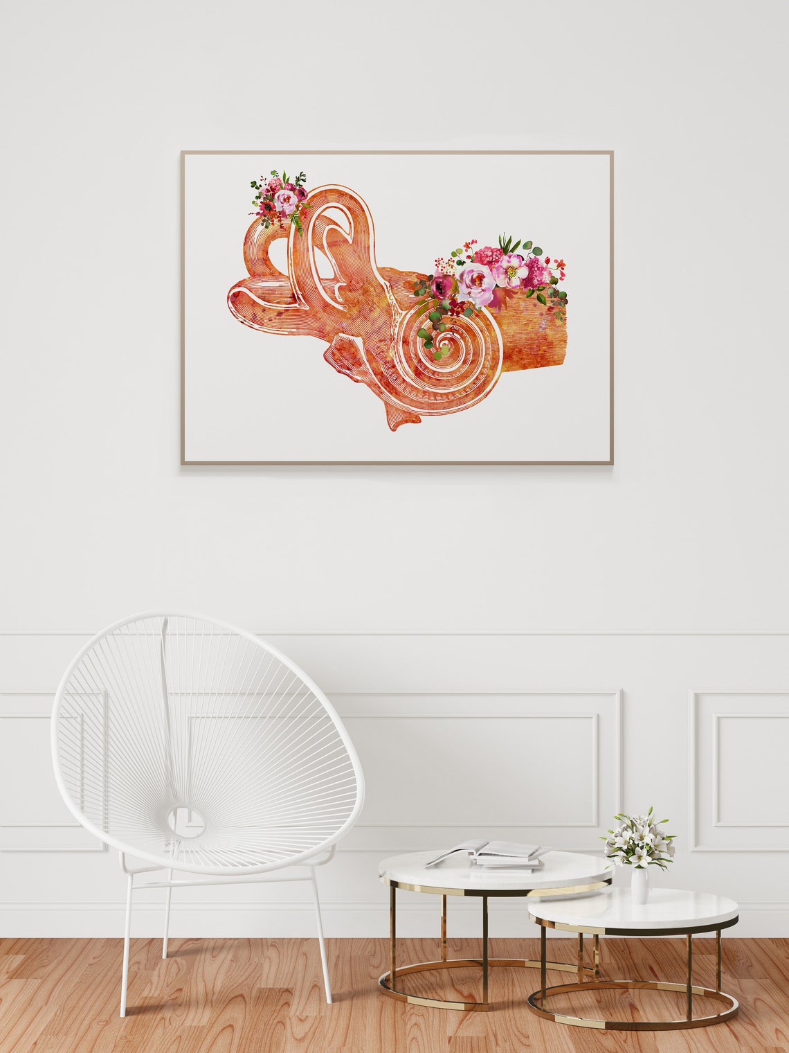 Human Ear Anatomy Audiology Poster Cross Section of Ear | Etsy