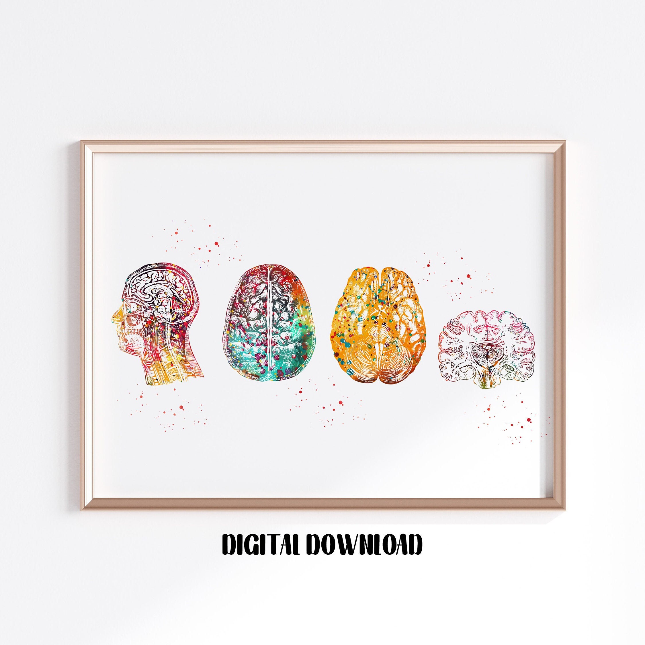 Human Brain Poster Medical Science Watercolor Digital - Etsy