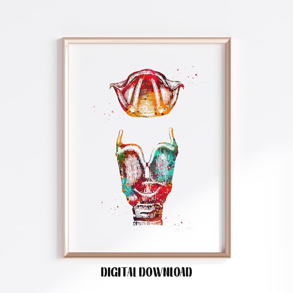 Anatomia Della Laringe Netter Anatomia Da Faringe E Da Via Aérea