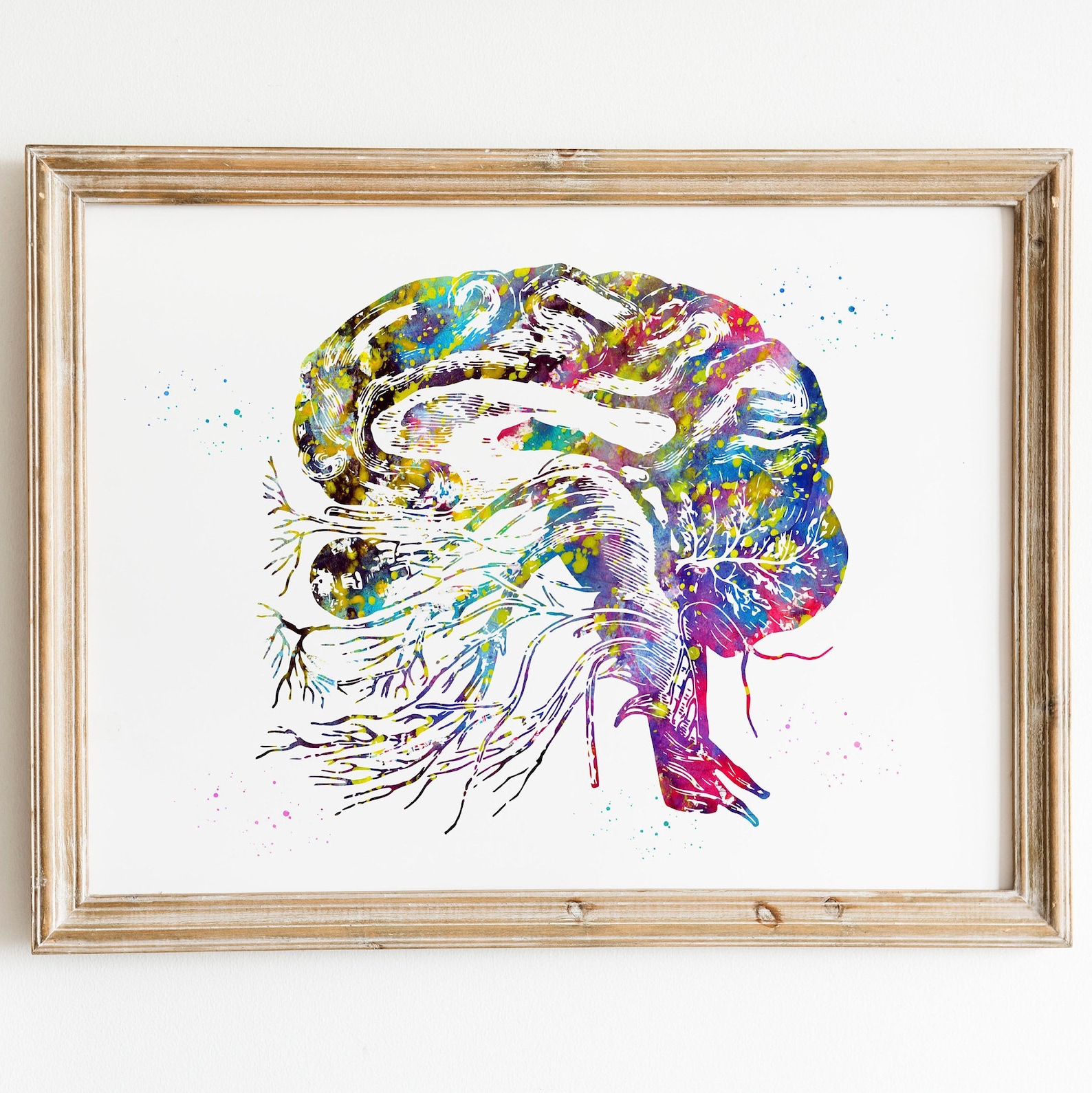 Brain Cranial Nerves Art Brain Anatomy Poster Watercolor | Etsy