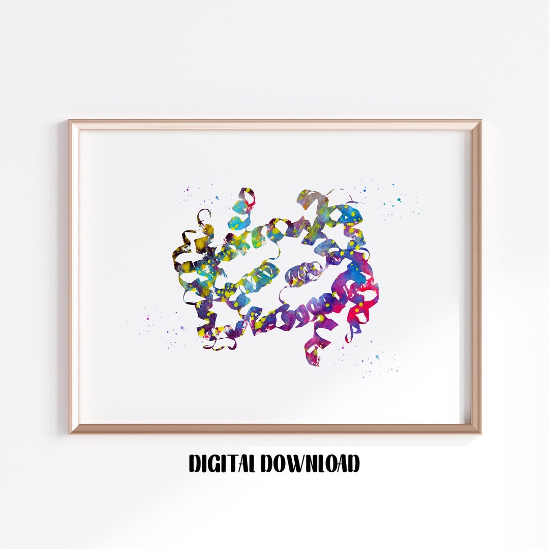 Hemoglobin Blood Cells Anatomy Biology Poster Medical Science ...