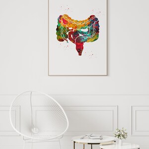 Large and Small Intestine Poster Medical Science Watercolor Digital ...