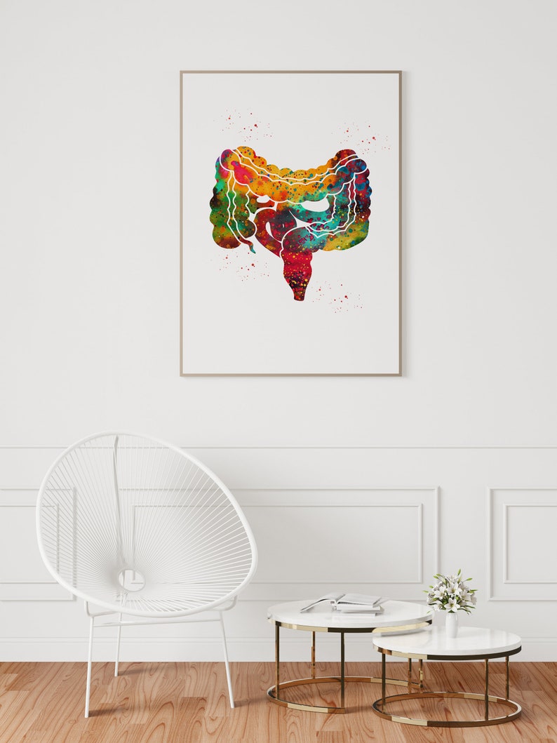Large and Small Intestine Poster Medical Science Watercolor - Etsy