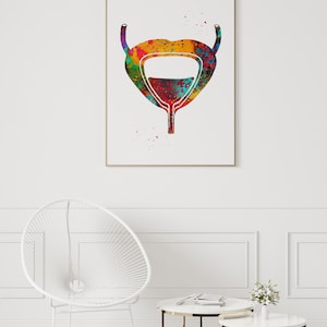 Bladder Urinary System Human Bladder Urology Urinary System Anatomy ...