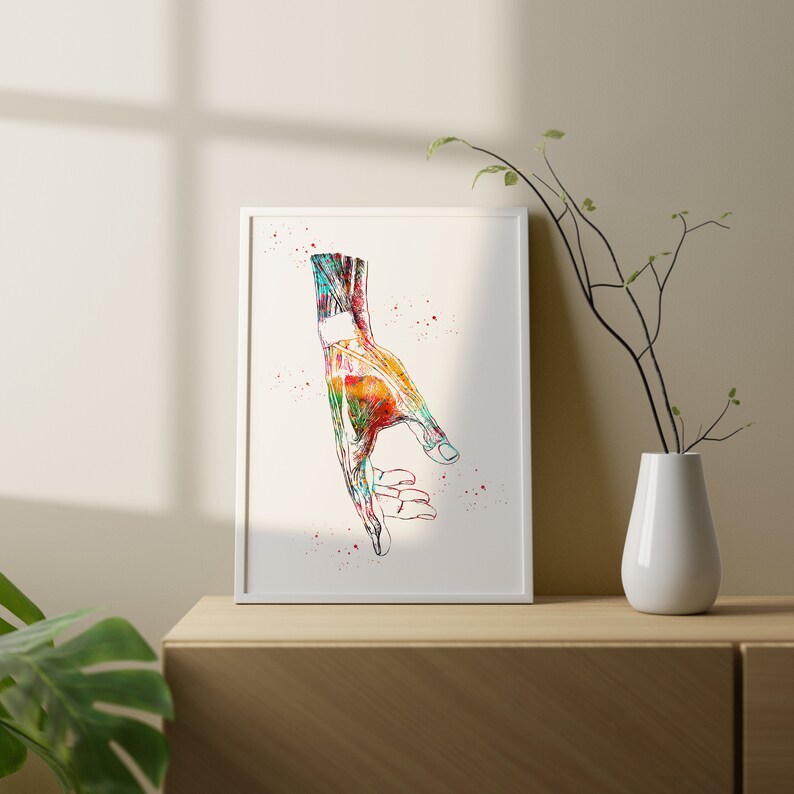 Hand Muscles and Tendons Anatomical Art Orthopedic Surgery - Etsy