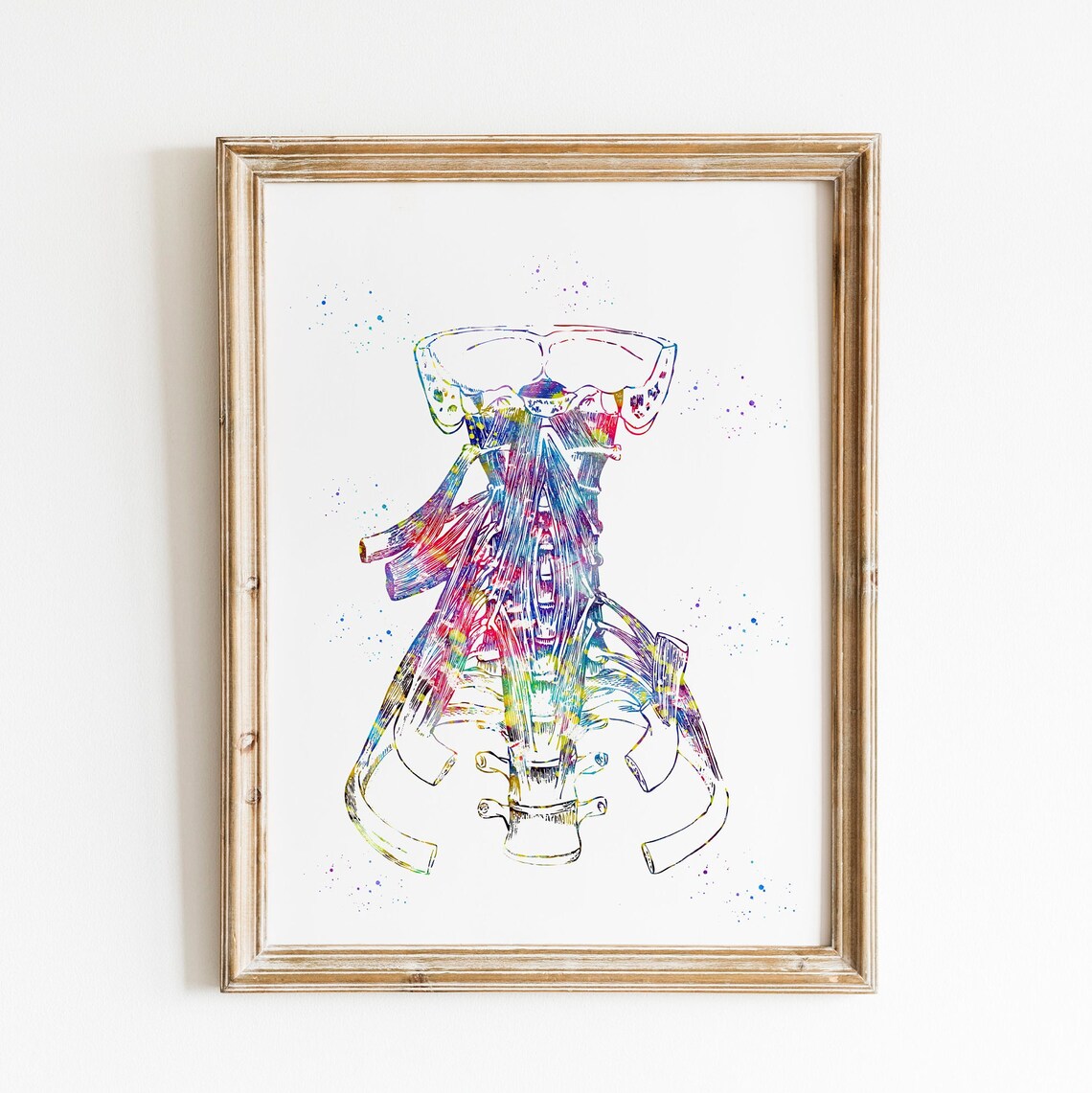 Muscles of the Neck Poster Medical Science Watercolor Digital - Etsy