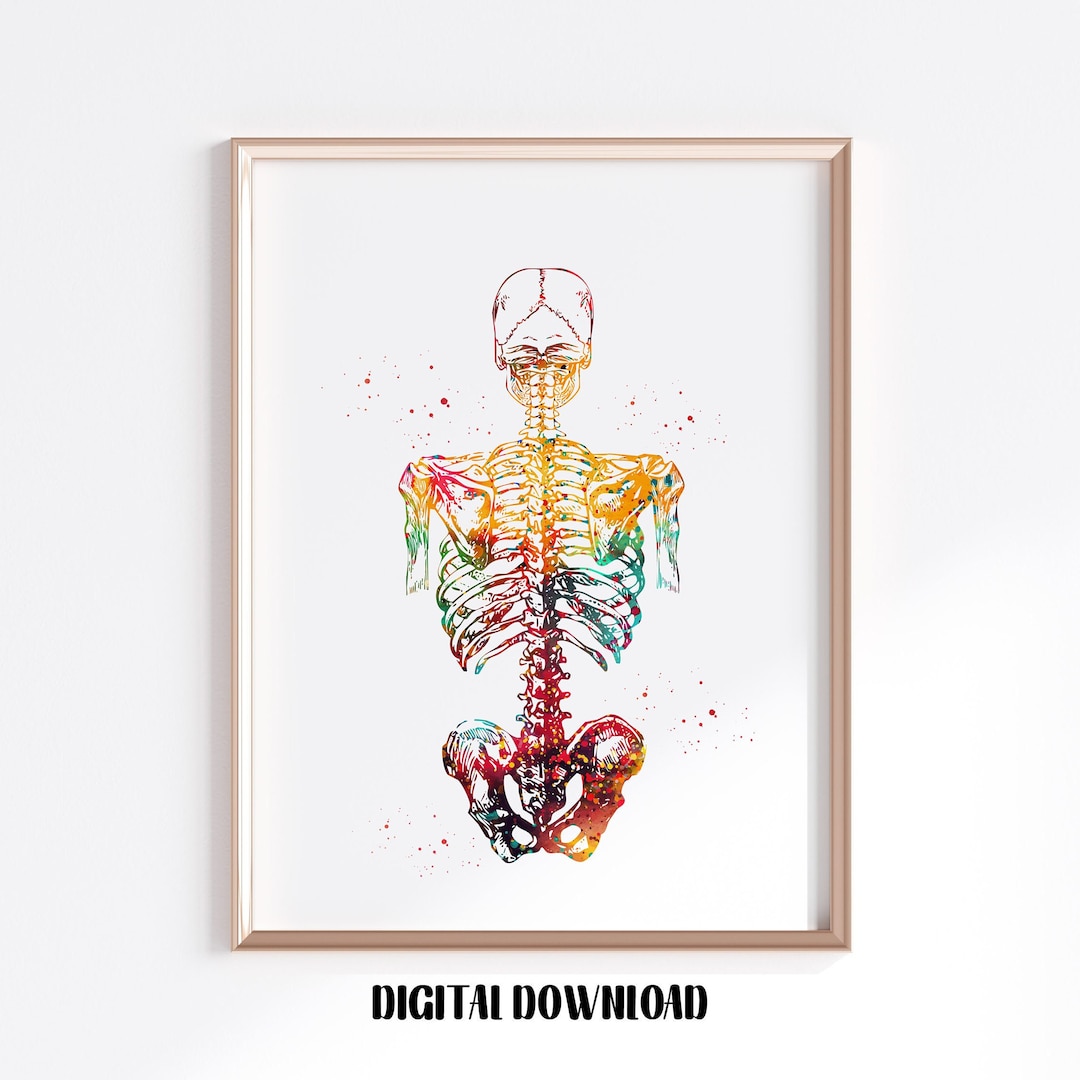 Torso Skeleton Anatomy Poster Medical Science Watercolor Digital ...