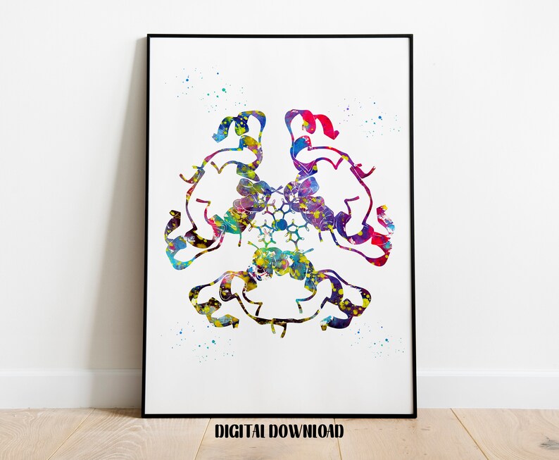 Insulin Structure Poster Diabetes Medication Endocrinology - Etsy
