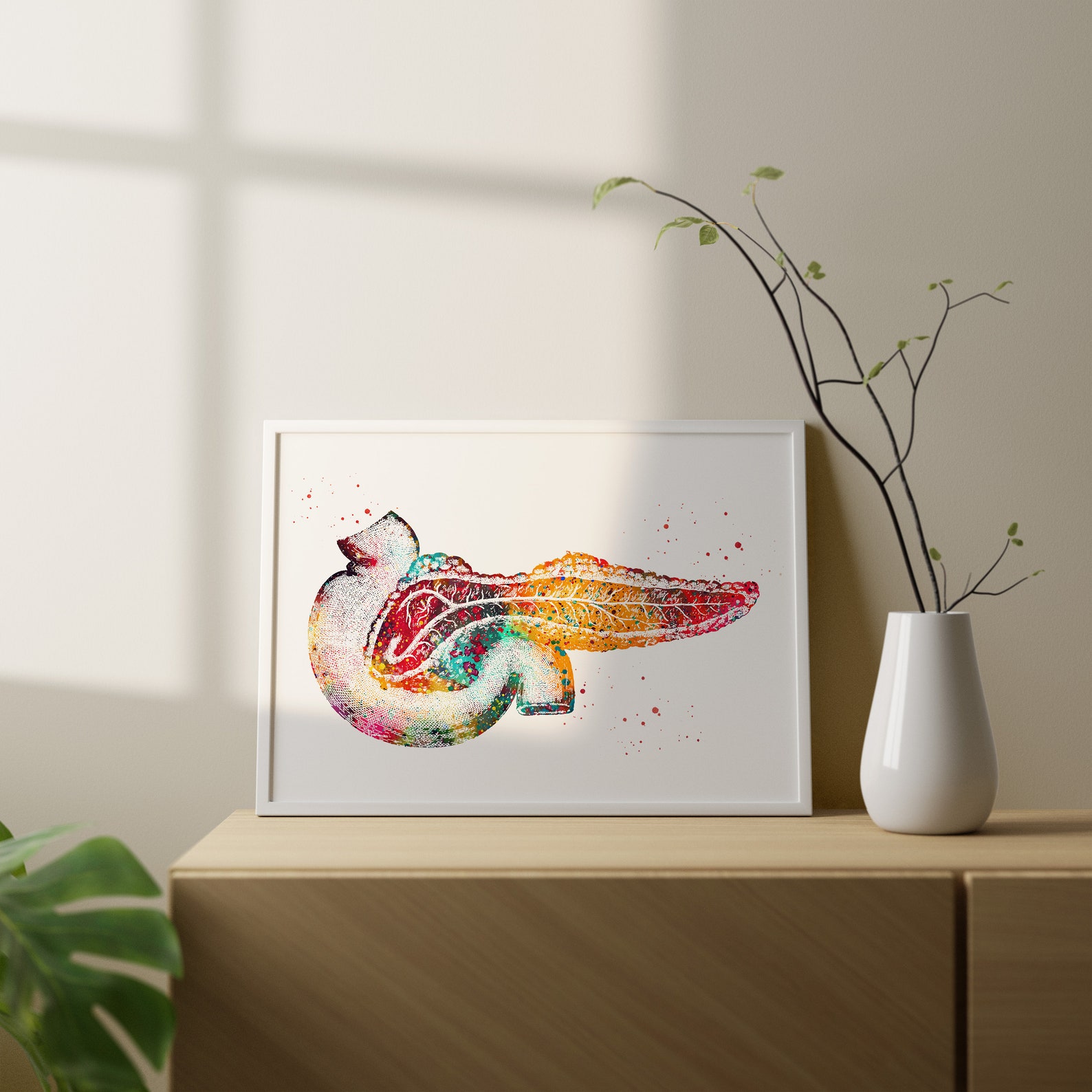 Pancreas Human Anatomy Internal Organs Poster Medical Science ...