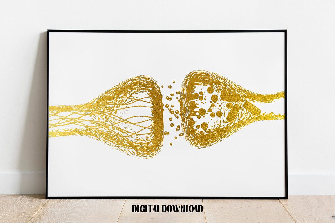 Human Nerve Cell Synapse Receptor Brain Neurology Poster ...