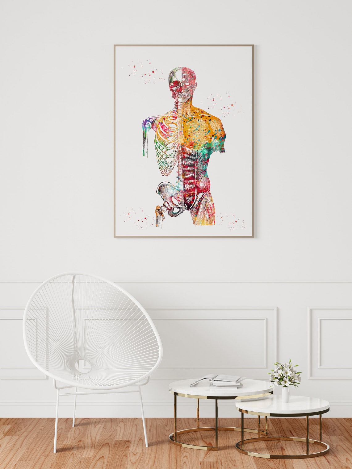 Bones and Muscles of the Torso Anatomy Musculoskeletal System - Etsy