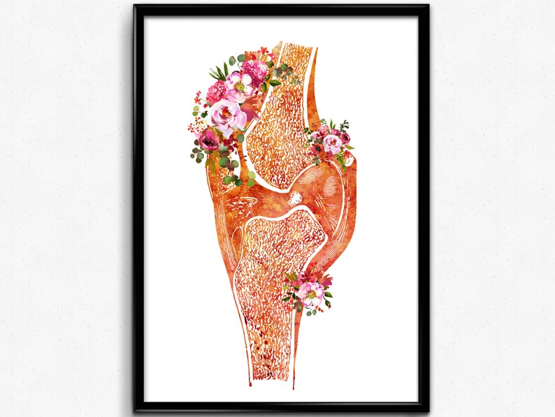 Knee bone medical art human anatomy knee orthopedic art | Etsy