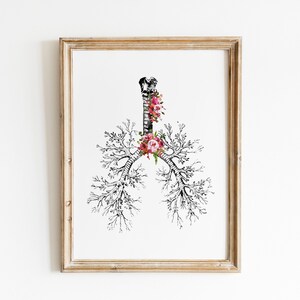 Bronchial Tree Lungs Anatomy Alveolar Respiratory System Human ...