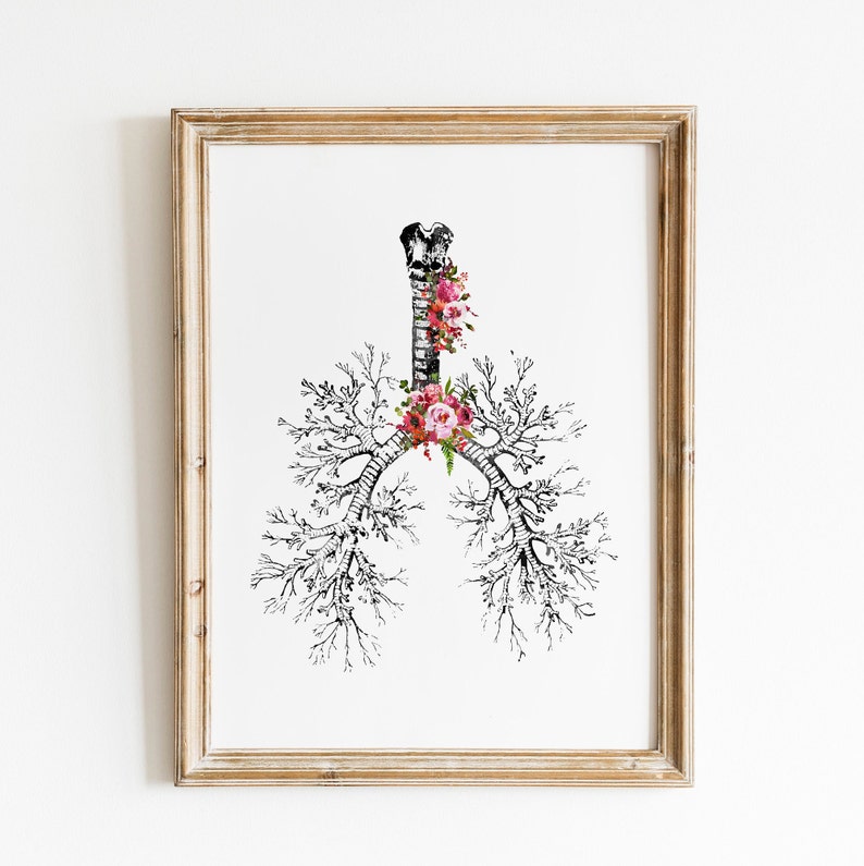 Bronchial Tree Lungs Anatomy Alveolar Respiratory System Human - Etsy
