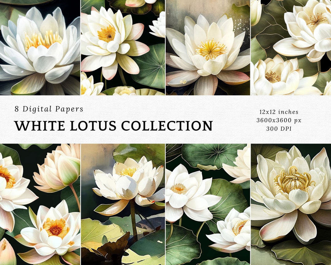 White Lotus Digital Paper, Wallpaper, Printable Paper, Commercial Use ...