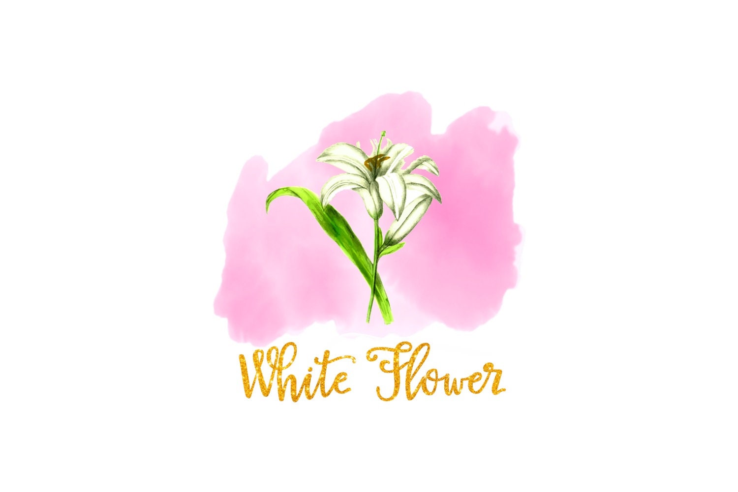 Lilly Logo