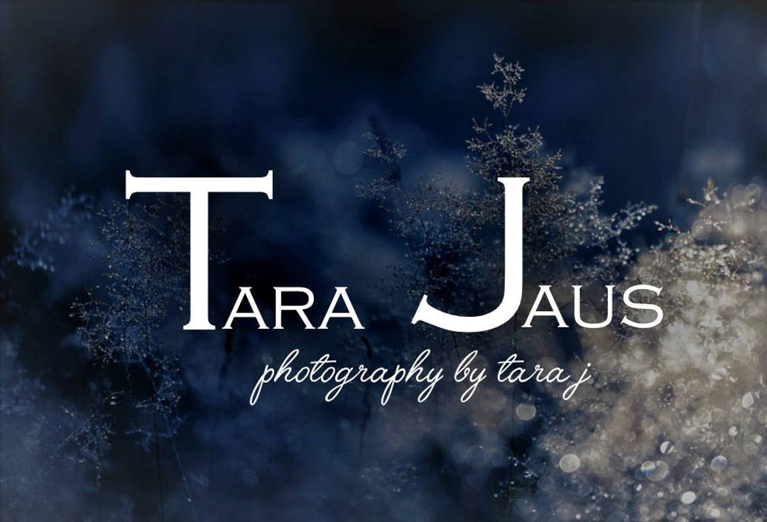 Minimal Watermark, Simple Watermark, Watermark Logo, Logo Design ...