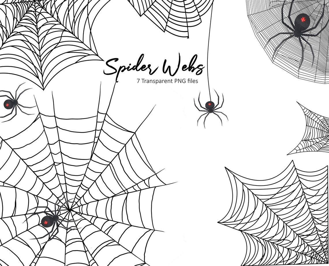 Spiderwebs Clipart Watercolor Spider Clipart Web Clipart - Etsy