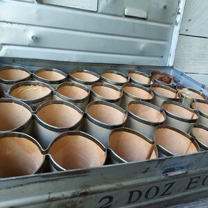 Metal Egg Box, Vintage 1920s, Tin Shipping Crate for Eggs, Egg Dividers ...