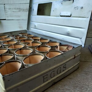 Metal Egg Box, Vintage 1920s, Tin Shipping Crate for Eggs, Egg Dividers ...