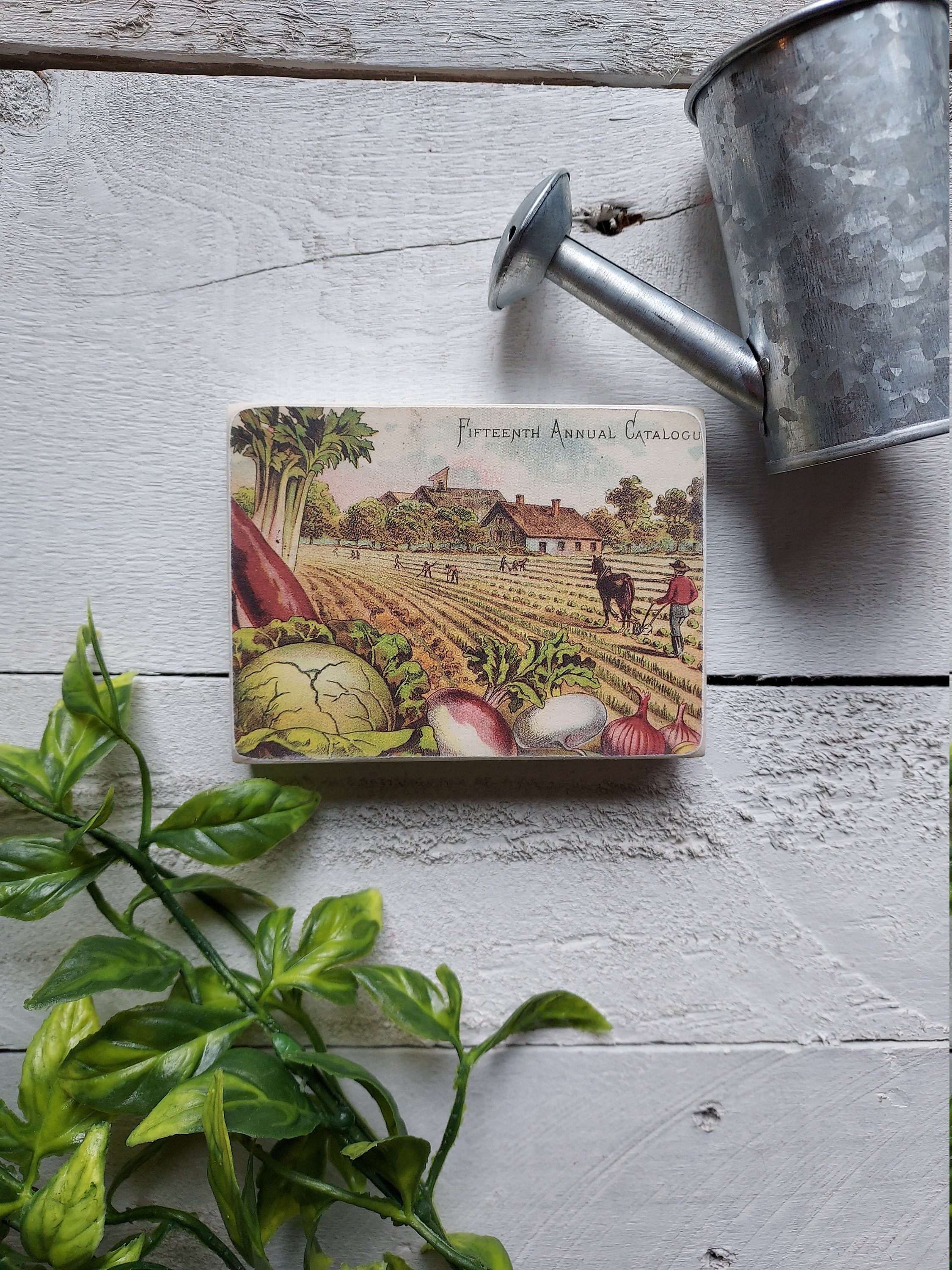 Vegetable Garden Mini Signs Garden Sign Vegetable Garden - Etsy