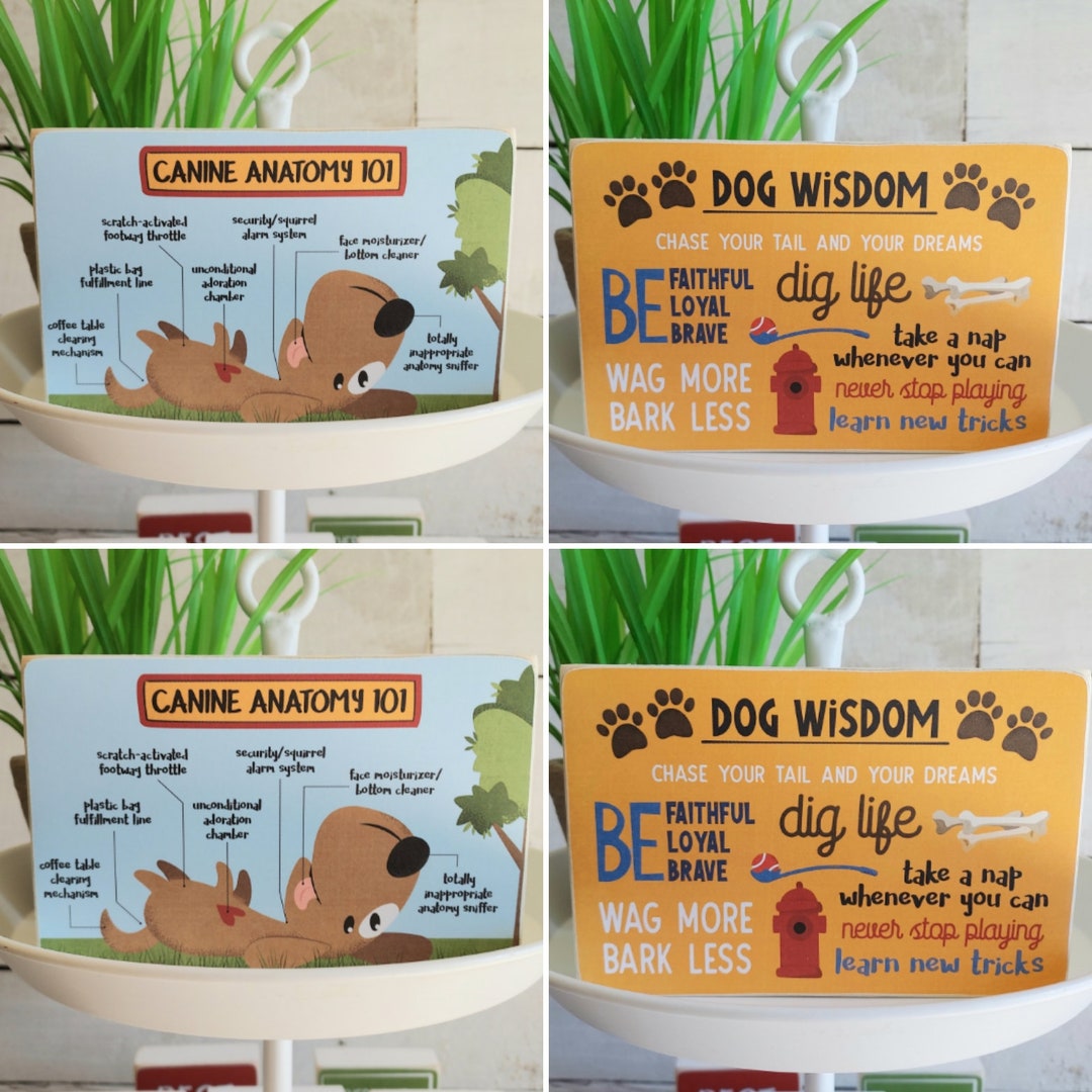 Dog Mini Signs, Dog Decor, Dog Tiered Tray Decor, Dog Shelf Decor, Dog ...