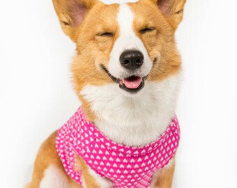 Corgi clothes | Etsy