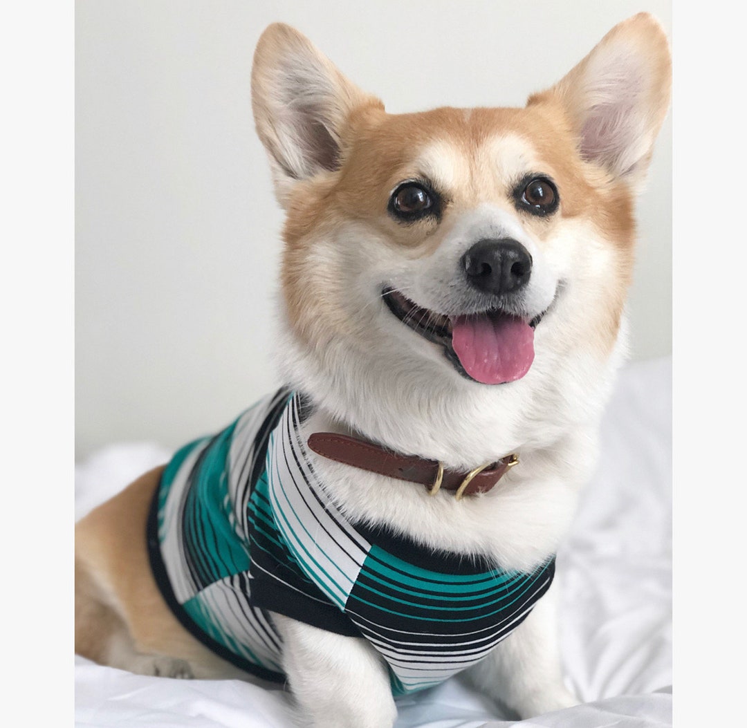 Homerun Pup Shirt - Green Stripes (clothes for Corgis, Corgi Dog ...