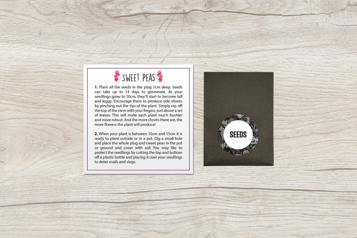 Grow Your Own Sweet Pea Plant Kit. Plastic Free Eco Gift. - Etsy UK