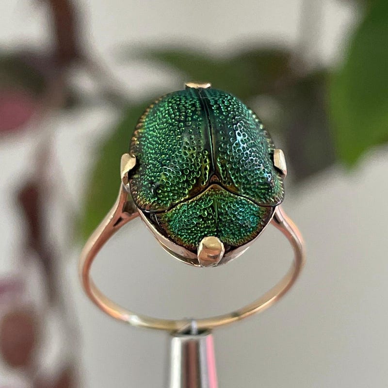 Gold Scarab Ring - Etsy