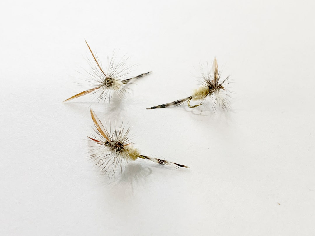 Fly Fishing Flies: Three (3) Adams Dry Flies With Grizzly Hackle Tail ...