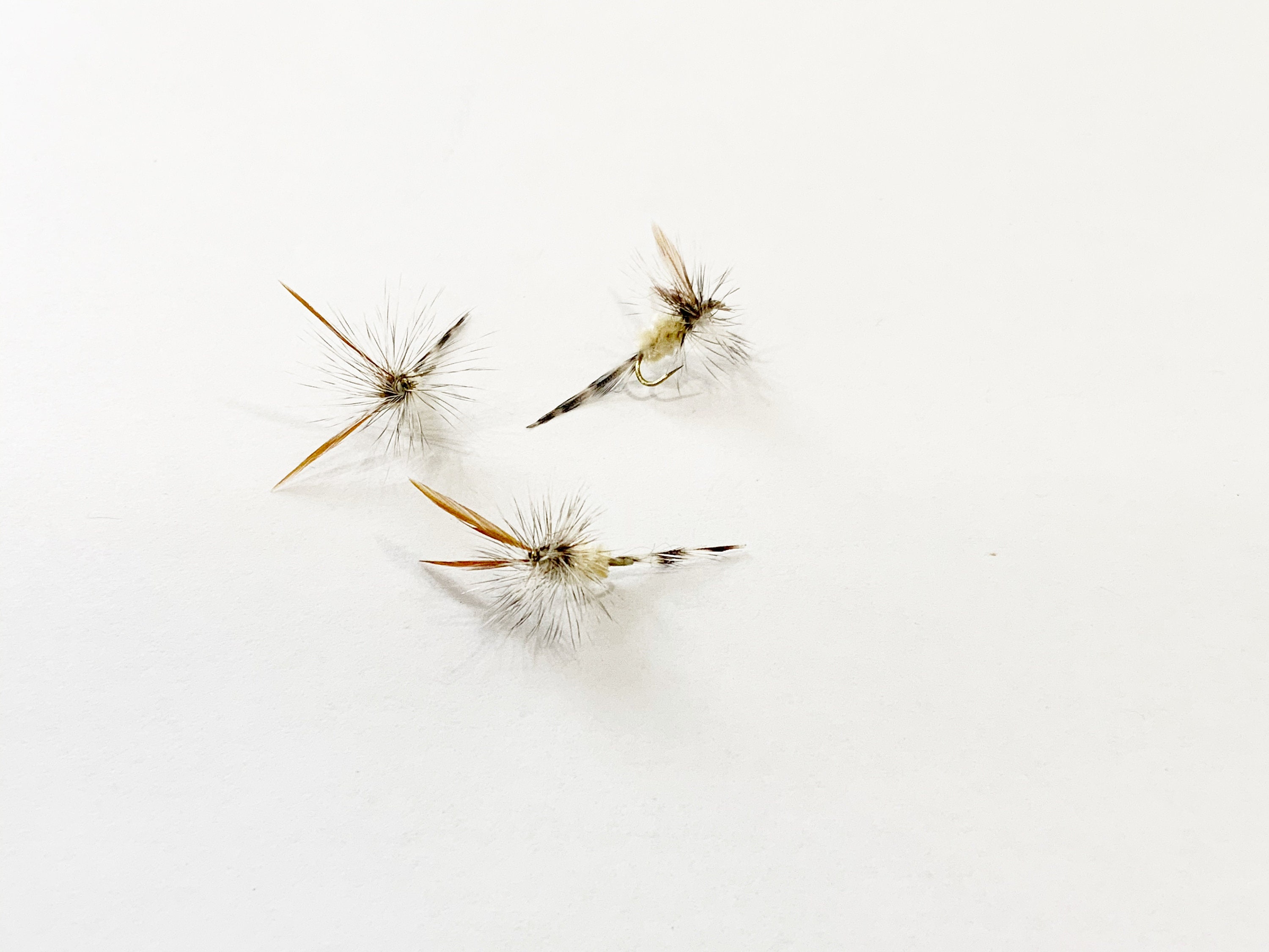 Fly Fishing Flies: Three 3 Adams Dry Flies With Grizzly - Etsy