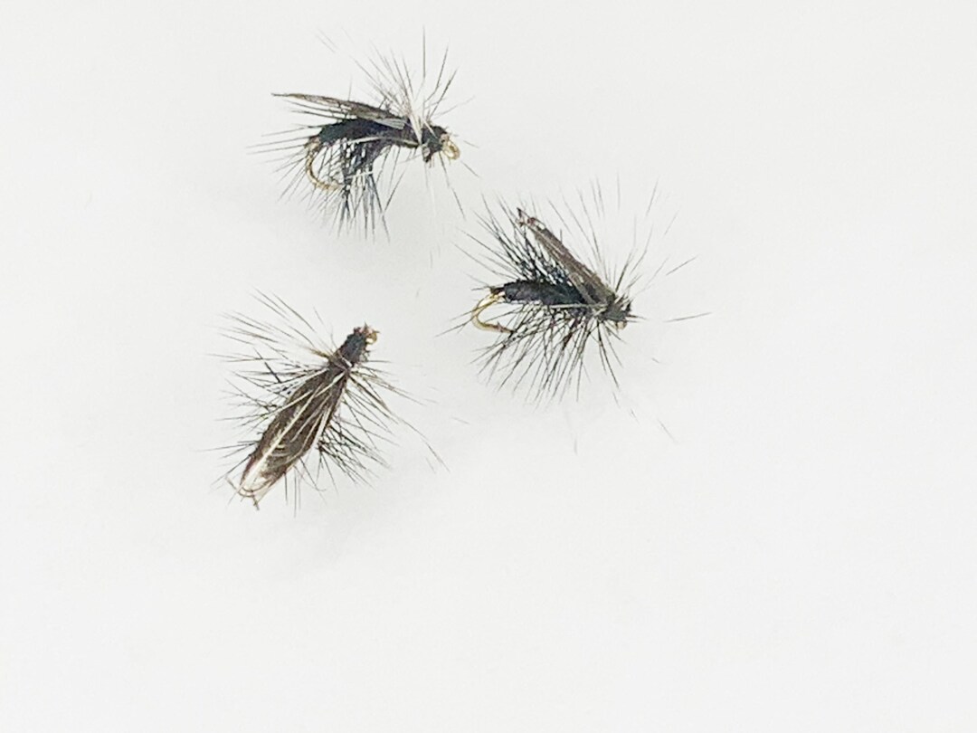Fly Fishing Flies: Three (3) Little Black Stoneflies - Etsy