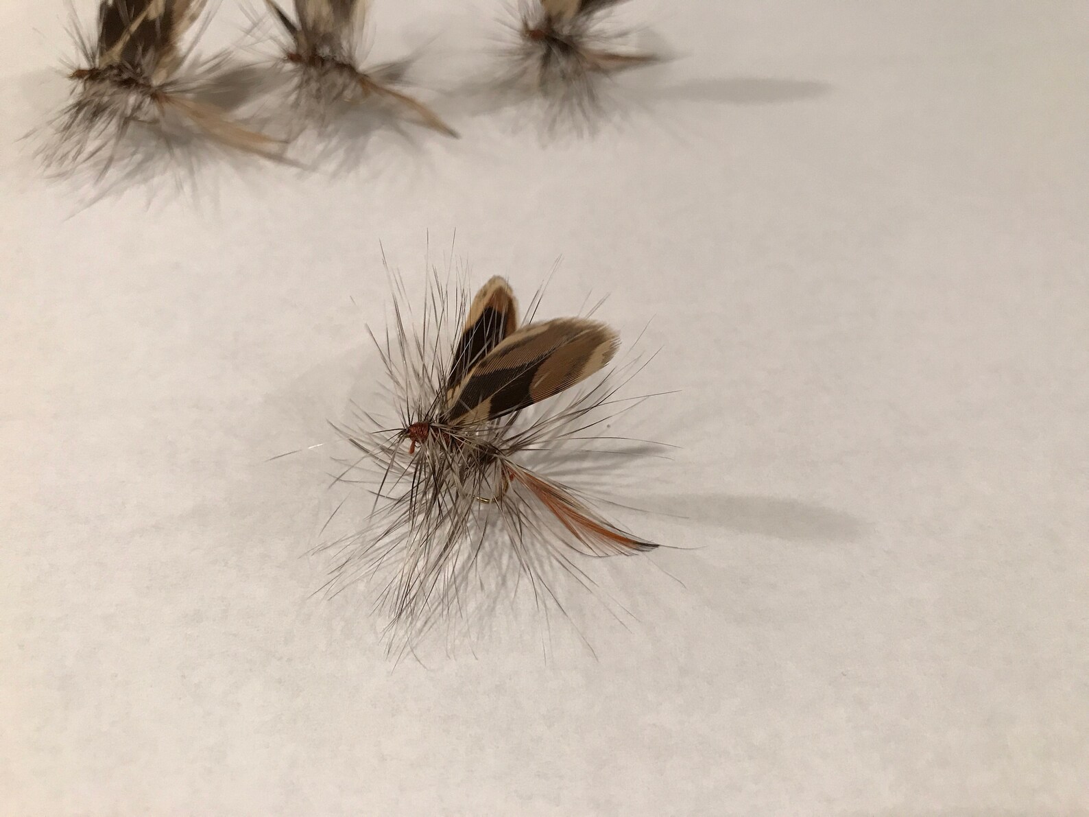Fly Fishing Flies: Four 4 Griffiths Moth Dry Flies - Etsy