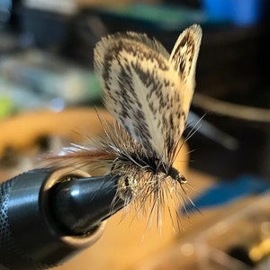 Fly Fishing Flies: Four (4) Griffiths Moth Dry Flies - Etsy