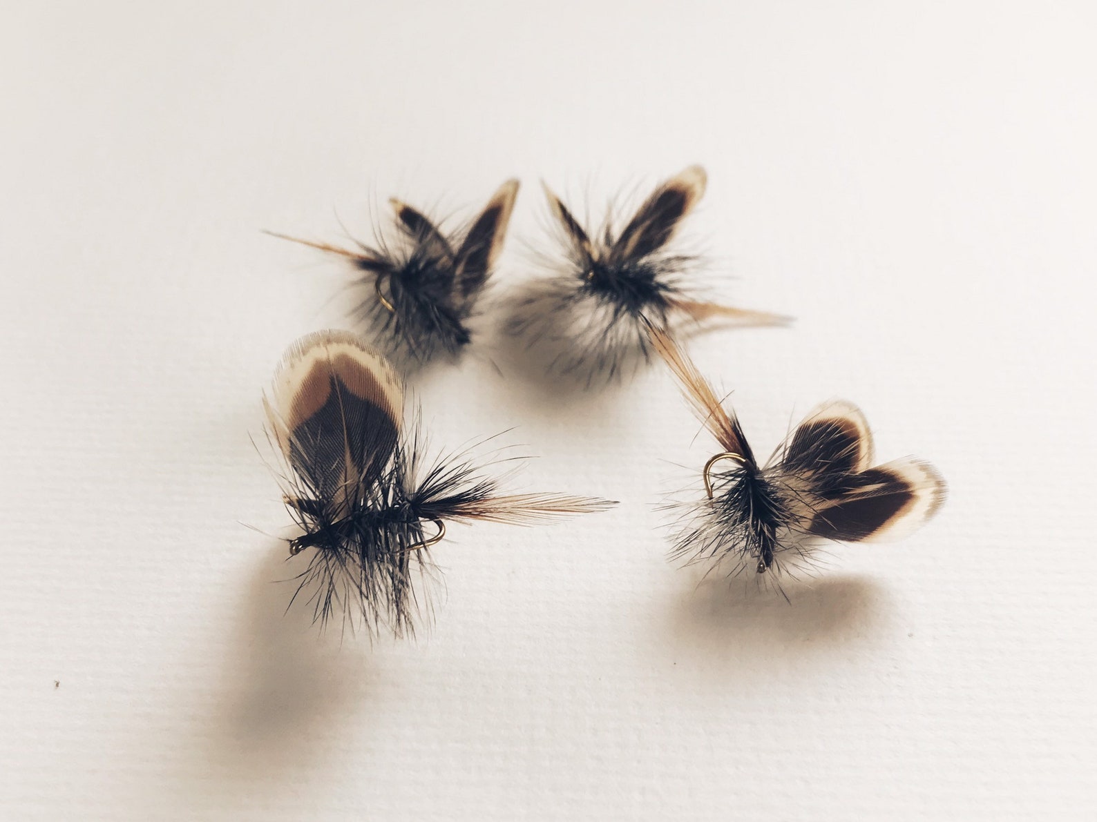 Fly Fishing Flies: Four 4 Griffiths Moth Dry Flies - Etsy