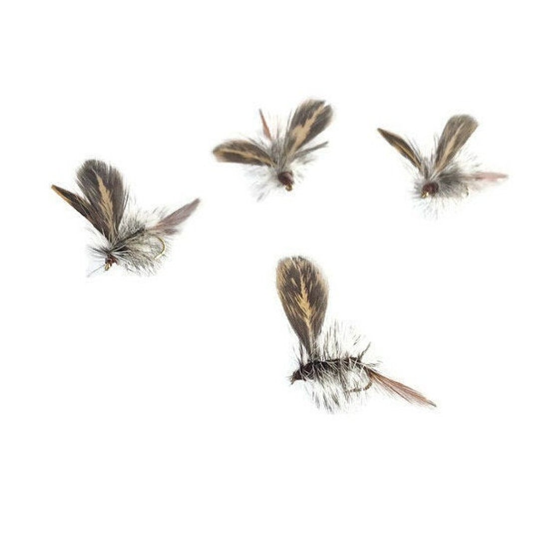 Fly Fishing Flies: Four 4 Griffiths Moth Dry Flies - Etsy