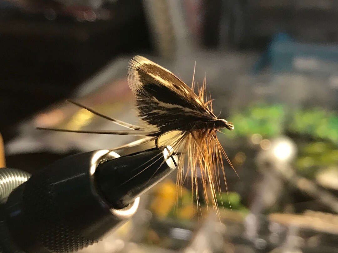 Fly Fishing Flies: Three (3) Winged Mayflies Brown With Black Wings - Etsy