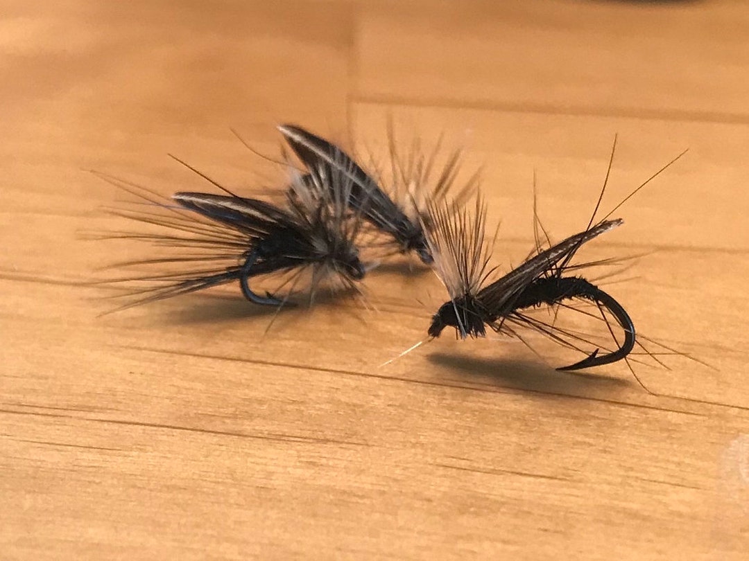 Fly Fishing Flies: Three 3 Little Black Stoneflies - Etsy