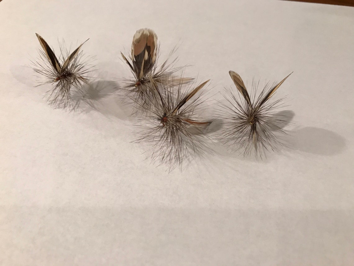 Fly Fishing Flies: Four 4 Griffiths Moth Dry Flies - Etsy