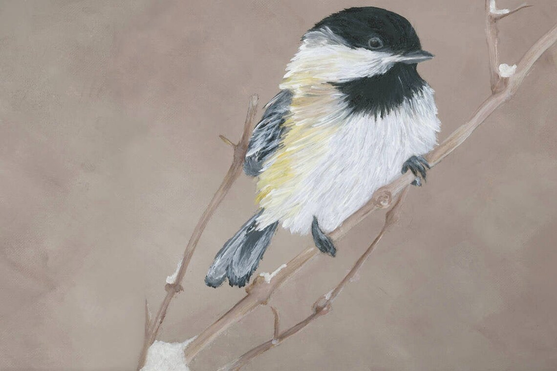 Winter Chickadee Art Print - Etsy
