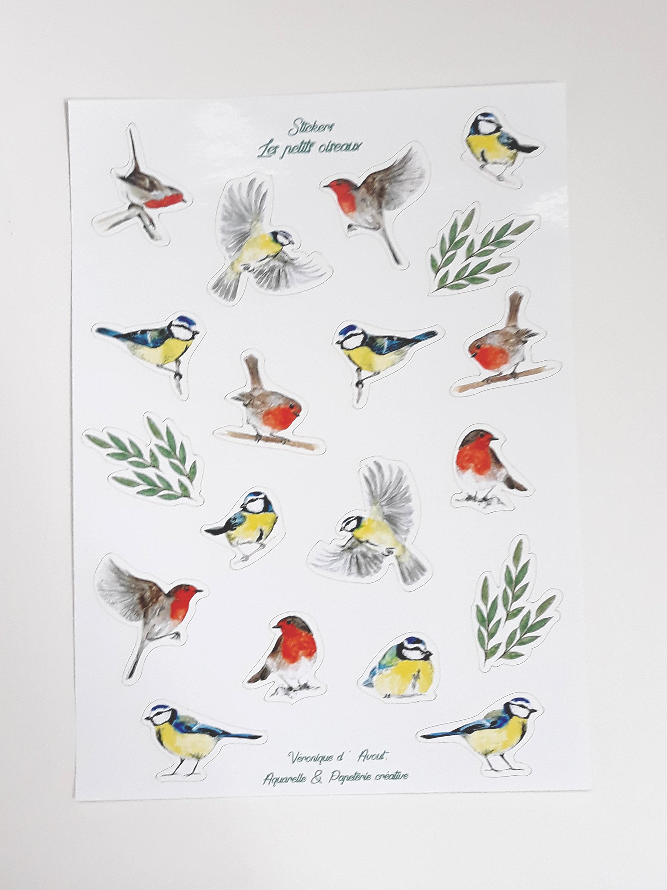 Small Birds Sticker Sheet - Etsy UK
