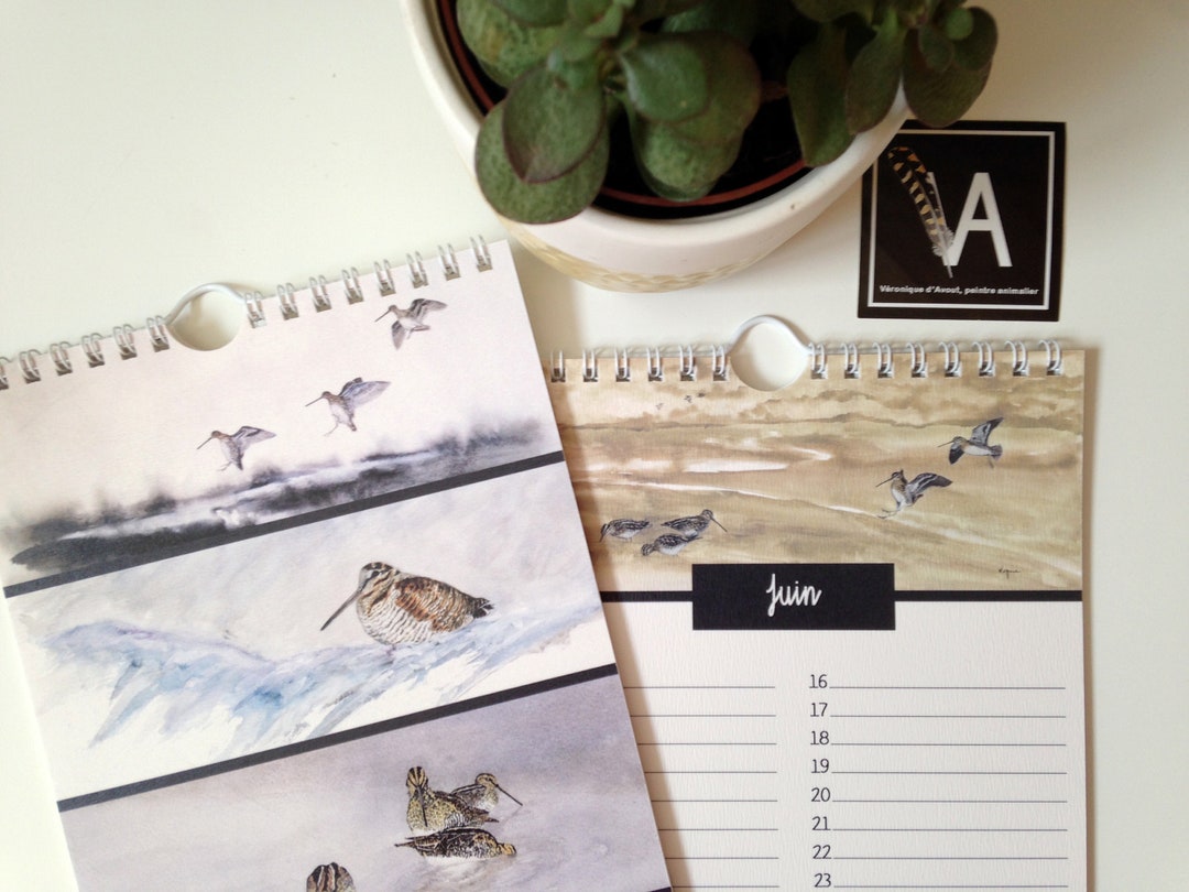 Perpetual Calendar for Birthdays, Holidays...birds, Woodcock, Wood ...