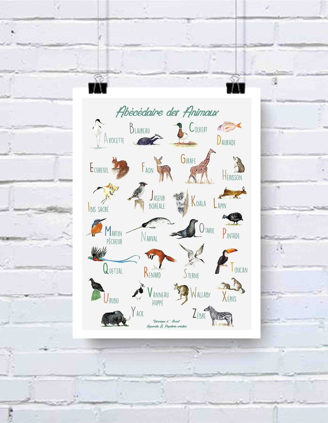 Poster Abécédaire Des Animaux Type Deyrolle, Wall Decoration - Etsy
